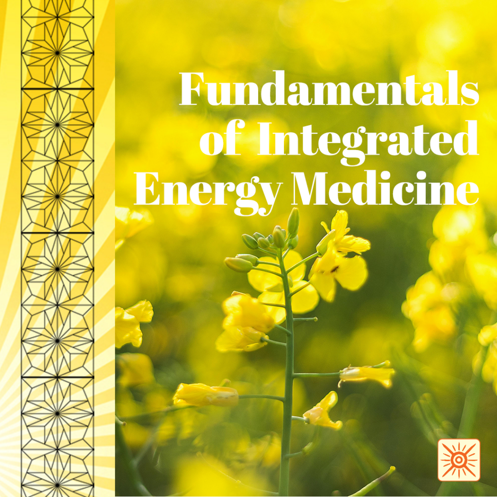 Fundamentals of Integrated Energy Medicine (On Demand) - Sacred Stream